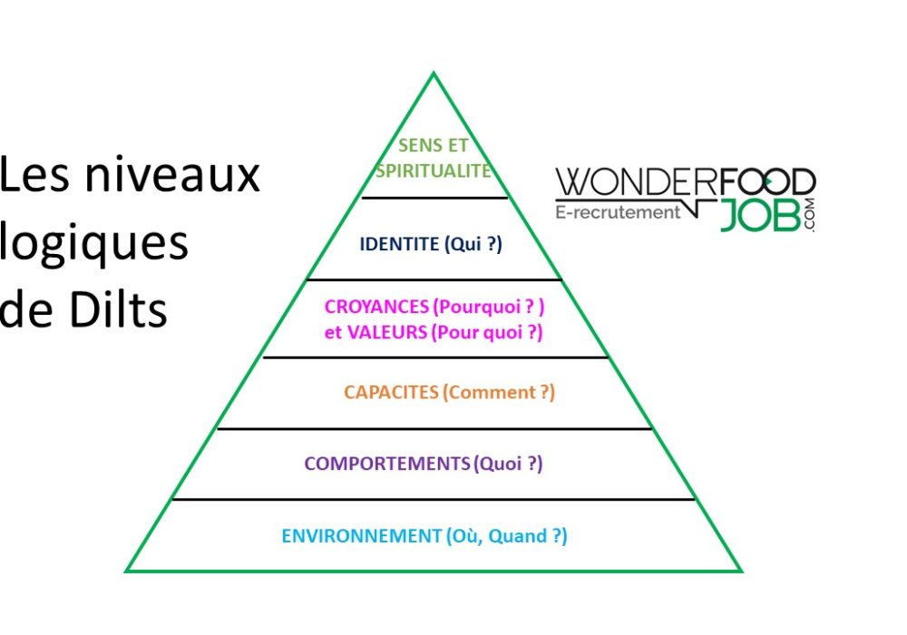 Alignez vos niveaux logiques de Dilts ! - MANAGERIA